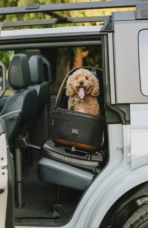 TAVO PETS Maeve™ Medium Rigid 3-in-1 Pet Car Seat & Stroller - Sable