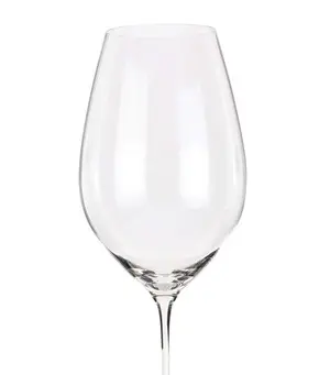 RIEDEL Set Of 2 Performance Riesling Glasses