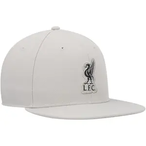 Nike Liverpool Pro Snapback Hat