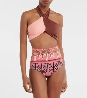 Johanna Ortiz Printed High-rise Bikini Bottoms