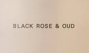 SALT & STONE Black Rose & Oud Body Wash - No Color
