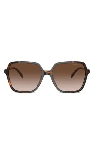 Michael Kors Michael Kors Jasper Square Frame Sunglasses Dk Tort