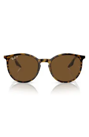 Ray-ban 51mm Polarized Sunglasses - Havana