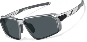 Zenni Sunglasses With Polarized Lenses Silver With Gray Lens