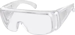 Zenni Protective Glasses / Goggles - Translucent