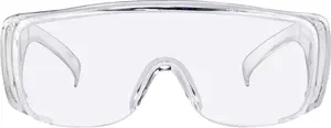 Zenni Protective Glasses / Goggles - Translucent