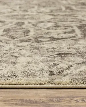ORIENTAL WEAVERS Florence 4333w Area Rug, 5'3 X 7'6
