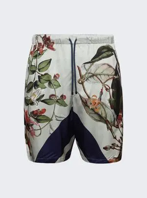 Dries Van Noten Piperi Printed Shorts - Grey