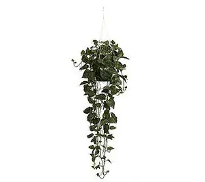 NEARLY NATURAL Philodendron Hanging Basket Plant Nearly Nat Ural - One-color