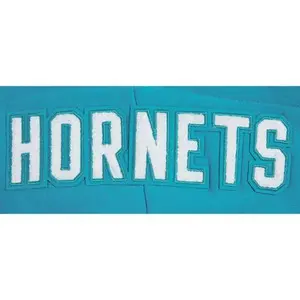 PRO STANDARD Charlotte Hornets 2023/24 City Edition Cropped Pullover Hoodie