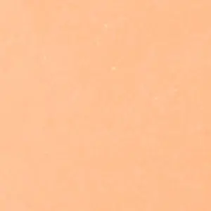 U BEAUTY The Super Tinted Hydrator - Neutral