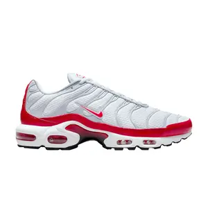 Nike Air Max Plus Sneakers