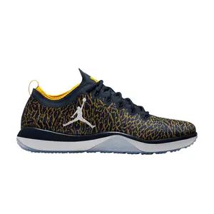 JORDAN Trainer 1 Low 'michigan' Sneakers