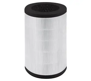HOMEDICS Replacement True Hepa Filter For Ap-pe 35-wt - One-color