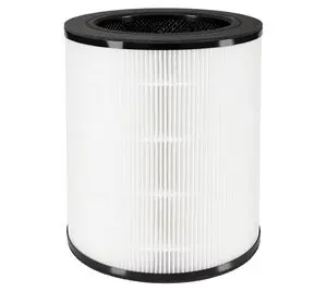 HOMEDICS Replacement True Hepa Filter For Ap-t1 0-gy - One-color