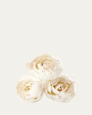 AGRARIA SAN FRANCISCO Peony Diffuser Flowers - One-color