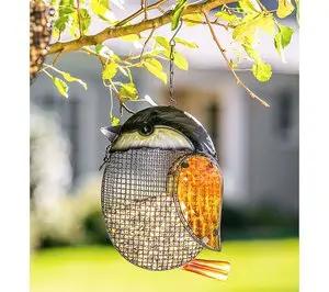 EVERGREEN Mesh Hanging Chickadee Bird Feeder