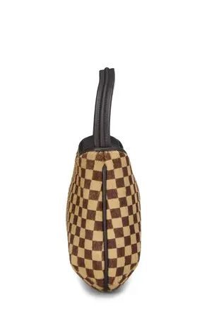 LOUIS VUITTON Damier Sauvage Tiger Pochette