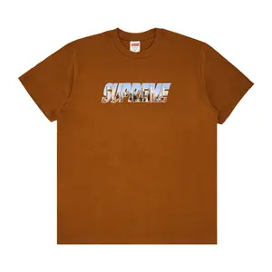 Supreme Gotham Tee 'light - Brown