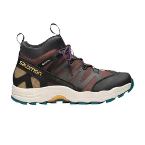 SALOMON XA Pro 1 Mid Gore-Tex Brown