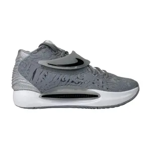 Nike Kd 14 Tb Sneakers