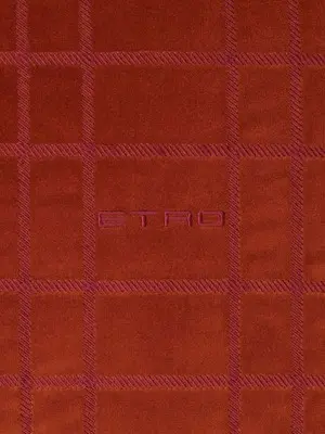 Etro Logo-embroidered Checked Velvet Cushion