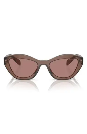 Prada Prada 52mm Butterfly Sunglasses Light Brown
