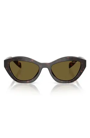 Prada 52mm Butterfly Sunglasses - Root Tortoise/dark Brown