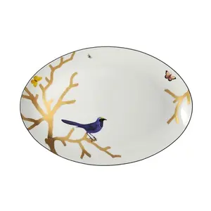 Bernardaud Aux Oiseaux Oval Platter - Multi