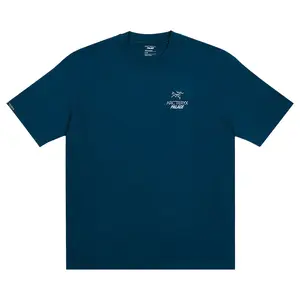 PALACE X Arc'teryx T-shirt - Teal
