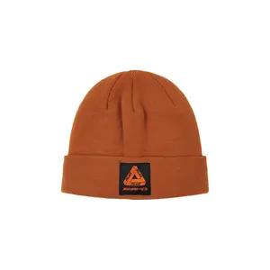 PALACE X Amg 2.0 Beanie - Tan