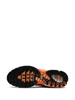 Nike Air Max Plus Sneakers