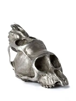 PARTS OF FOUR Monkey Skull Decorative Object