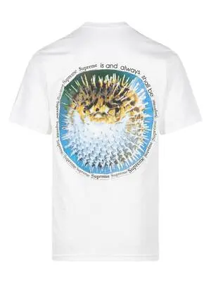 Supreme Cotton T-shirt - White