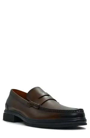 Aldo Tucker Penny Loafer - Other Brown