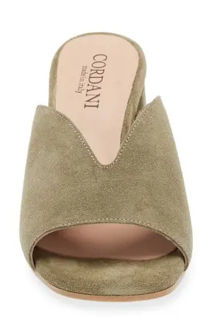 Cordani Pollie Suede Slide Sandal - Ivy Suede