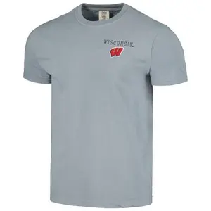 IMAGE ONE Wisconsin Badgers Campus Scene Comfort Colors T-shirt
