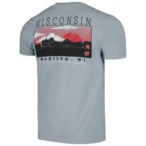 IMAGE ONE Wisconsin Badgers Campus Scene Comfort Colors T-shirt