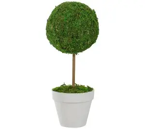 NORTHLIGHT Reindeer Moss Potted Artificial Spri G Topiary Tree - One-color