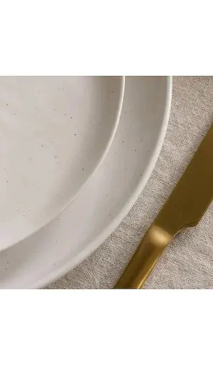 FABLE The Dinner Plates Set Of 4 In White - Speckled White