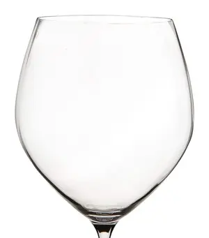RIEDEL Set Of 2 Performance Chardonnay Glasses