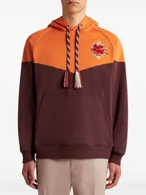 Etro Pegaso-embroidered Cotton Hoodie - Brown