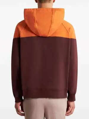 Etro Pegaso-embroidered Cotton Hoodie - Brown