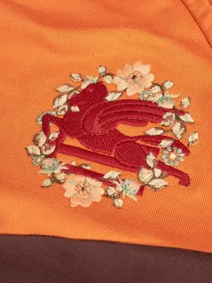 Etro Pegaso-embroidered Cotton Hoodie - Brown