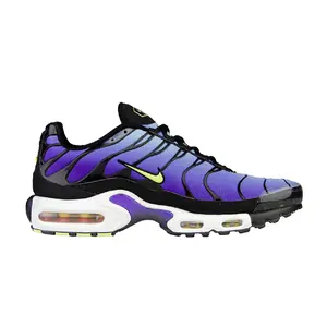 Nike Air Max Plus Sneakers - Blue