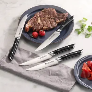 CANGSHAN Helena 4 Pc Steak Knife Set