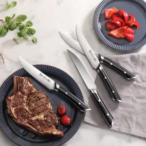 CANGSHAN Helena 4 Pc Steak Knife Set