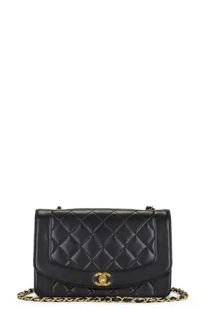 Chanel Quilted Shoulder Bags