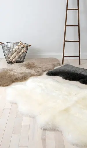 UGG HOME Sheepskin Area Rug In White