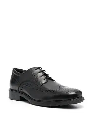 Geox Dublin Lace-up Brogue Shoes